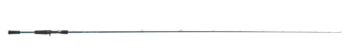 Rayfin